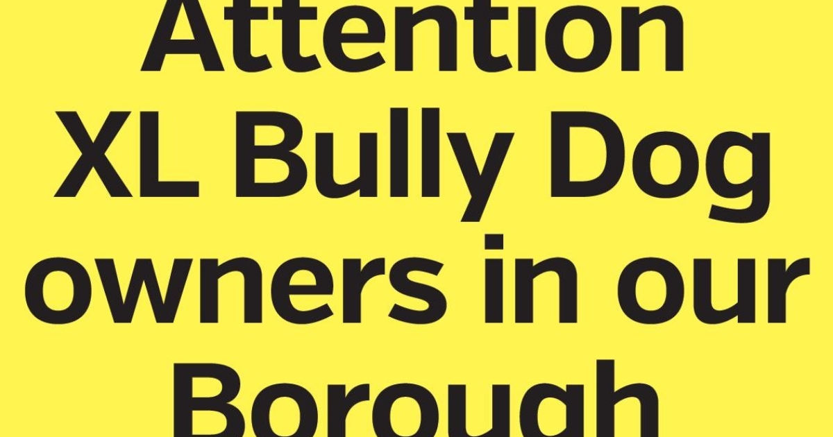 Time is Running Out: XL Bully Dog Owners Must Obtain Exemption ...