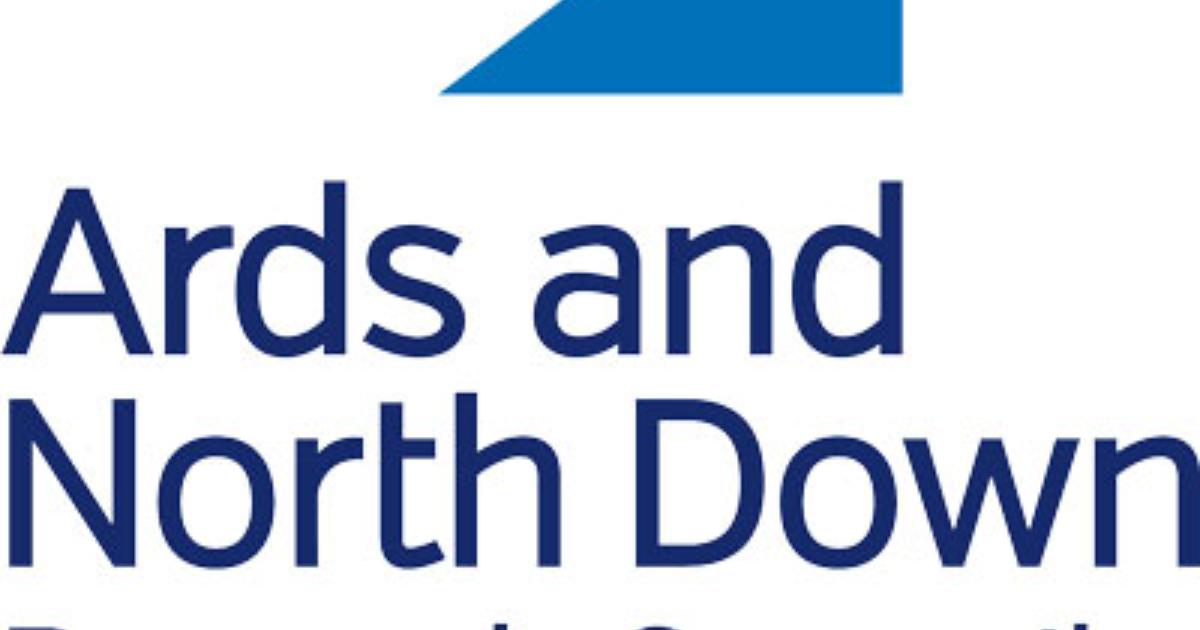 Digital Transformation Flexible Fund - Ards and North Down Borough Council Digital Transformation Flexible Fund - Ards and North Down Borough Council